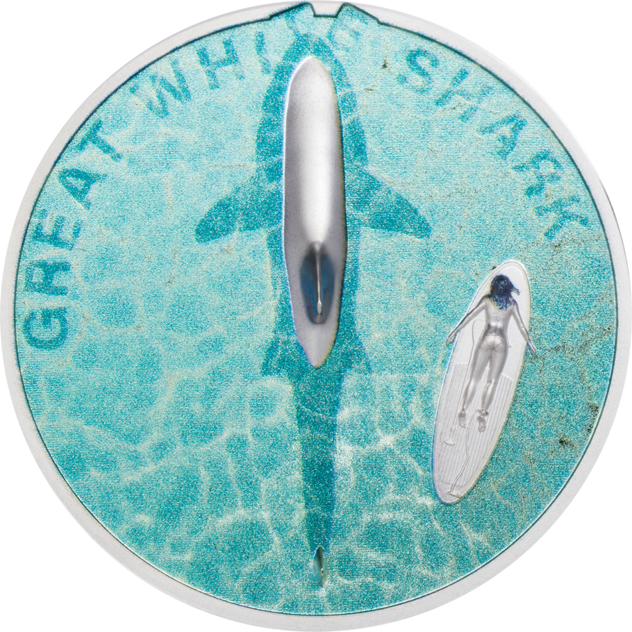 Great White Shark – Coin Display